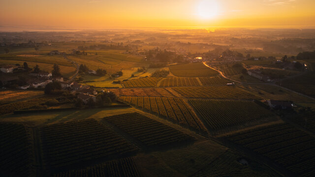 「Sur-Production」の写真素材 | 135件の無料イラスト画像 | Adobe Stock