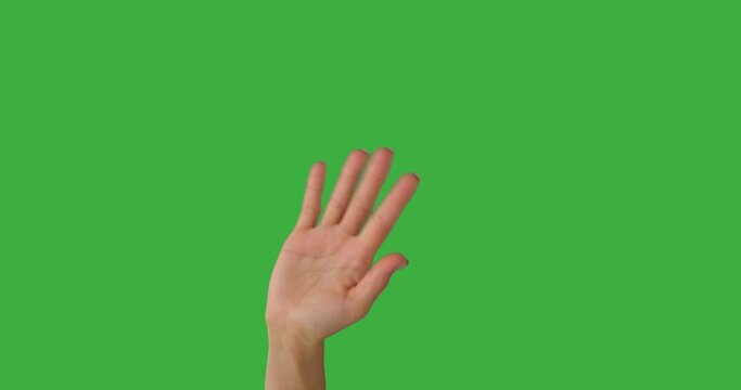 Hand Waving Hello Images – Browse 57,016 Stock Photos, Vectors, and ...