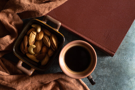 DIE 8,744 BESTEN BILDER, STOCK-FOTOS UND -VEKTORGRAFIKEN ZU „Buchennuss ...