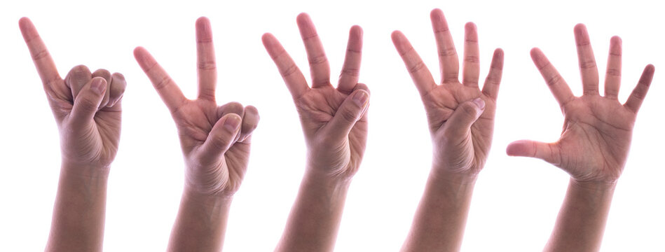 Fingerbreadth Images – Browse 169,133 Stock Photos, Vectors, and Video ...