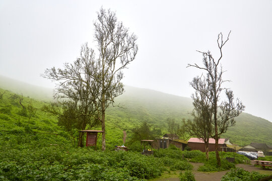 Lomas Images – Parcourir 3,049 le catalogue de photos, vecteurs et ...