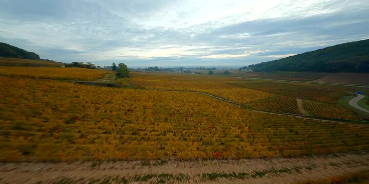 Cabotte Bilder – Durchsuchen 124 Archivfotos, Vektorgrafiken und Videos ...