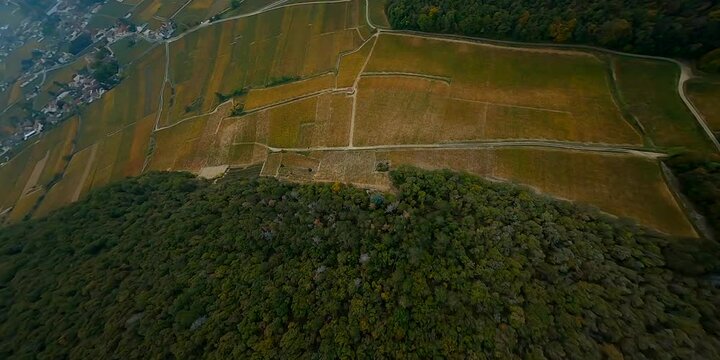 Cabotte Bilder – Durchsuchen 124 Archivfotos, Vektorgrafiken und Videos ...