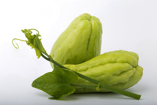 Sayote Images – Browse 6,732 Stock Photos, Vectors, and Video | Adobe Stock