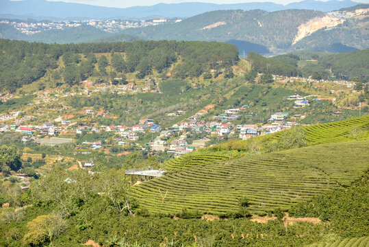 "Tea Hill" Images – Browse 387 Stock Photos, Vectors, and Video | Adobe ...