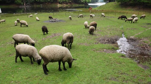 "Paisaje Rural" Images – Browse 2,990 Stock Photos, Vectors, and Video ...