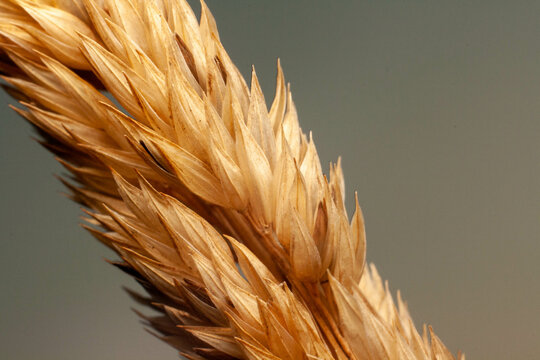 Pawe_D photos, images, assets | Adobe Stock