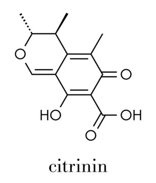 Citrinin Images – Browse 29 Stock Photos, Vectors, and Video | Adobe Stock