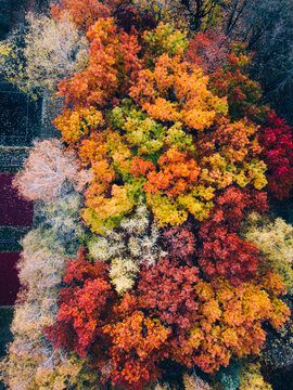 Autmn Images – Browse 4,610 Stock Photos, Vectors, and Video | Adobe Stock