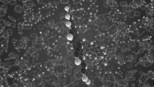 「Perilene」の写真素材 | 70件の無料イラスト画像 | Adobe Stock