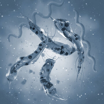 Microaerophile Images – Browse 39 Stock Photos, Vectors, and Video ...