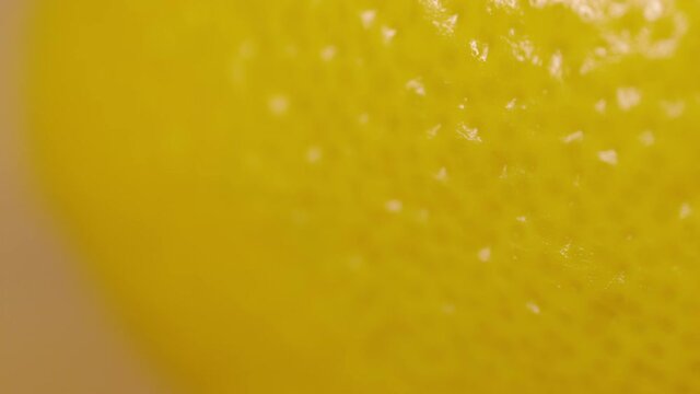 Lemon Rind Images – Browse 14,726 Stock Photos, Vectors, and Video ...