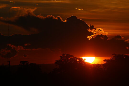 "Showing Off" Images – Parcourir 11,955 le catalogue de photos ...