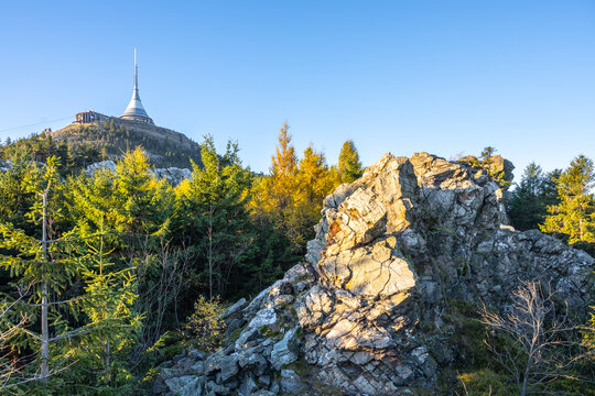 Virive Images – Browse 34 Stock Photos, Vectors, and Video | Adobe Stock