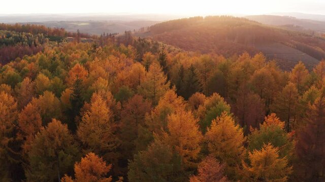 Obrazy ("Autumn Video") — zdjęcia, wektory i wideo bez tantiem (93 ...