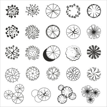 Architectural Symbols Trees