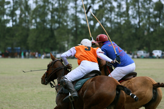 Argentina Polo Images – Browse 566 Stock Photos, Vectors, and Video ...