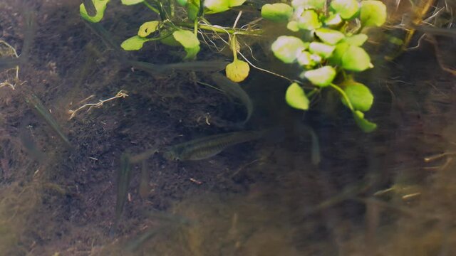 รูปภาพIdle – เลือกดูภาพถ่ายสต็อก เวกเตอร์ และวิดีโอ25,121 | Adobe Stock