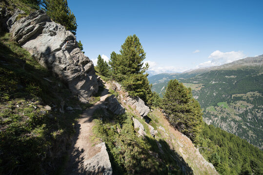 Visp Bilder – Durchsuchen 1,659 Archivfotos, Vektorgrafiken und Videos ...