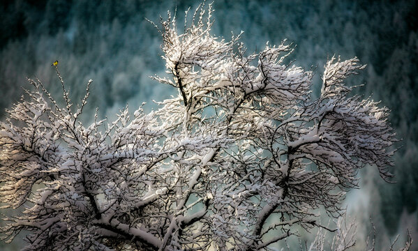 Jeaune Images – Browse 6 Stock Photos, Vectors, and Video | Adobe Stock