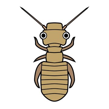 Psocoptera Bilder – Durchsuchen 272 Archivfotos, Vektorgrafiken und ...
