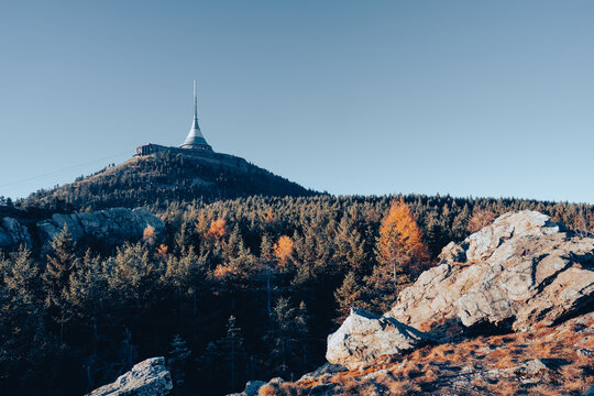 Virive Images – Browse 34 Stock Photos, Vectors, and Video | Adobe Stock