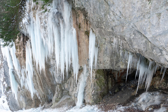 รูปภาพSpitzig – เลือกดูภาพถ่ายสต็อก เวกเตอร์ และวิดีโอ461 | Adobe Stock