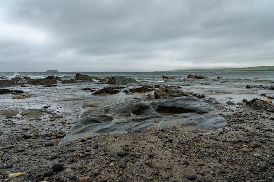 Pollan Images – Browse 46 Stock Photos, Vectors, and Video | Adobe Stock