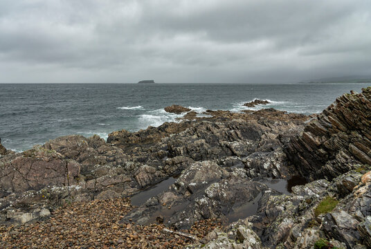 Pollan Images – Browse 46 Stock Photos, Vectors, and Video | Adobe Stock