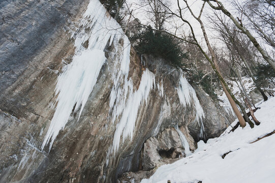 รูปภาพSpitzig – เลือกดูภาพถ่ายสต็อก เวกเตอร์ และวิดีโอ460 | Adobe Stock