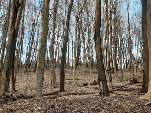 MysticalM photos, images, assets | Adobe Stock