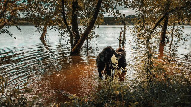 Madiran Bilder – Durchsuchen 84 Archivfotos, Vektorgrafiken und Videos | Adobe Stock