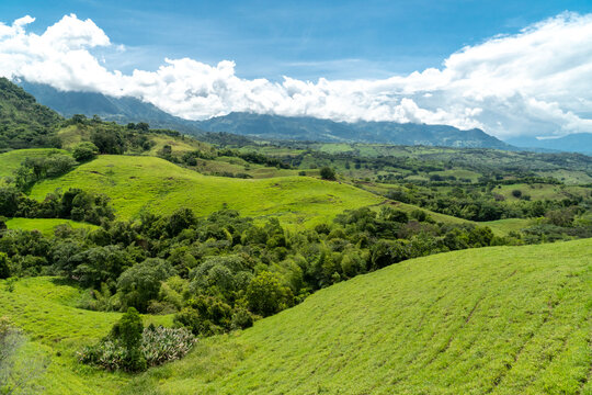 รูปภาพColina – เลือกดูภาพถ่ายสต็อก เวกเตอร์ และวิดีโอ11,631 | Adobe Stock