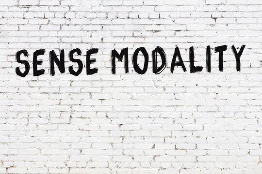 รูปภาพModality – เลือกดูภาพถ่ายสต็อก เวกเตอร์ และวิดีโอ87,159 | Adobe Stock