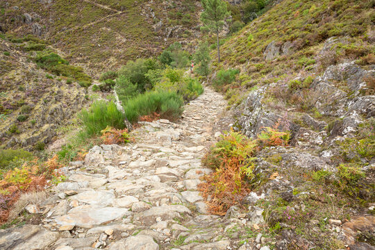 Paivo - Images et vidéos libres de droits | Adobe Stock