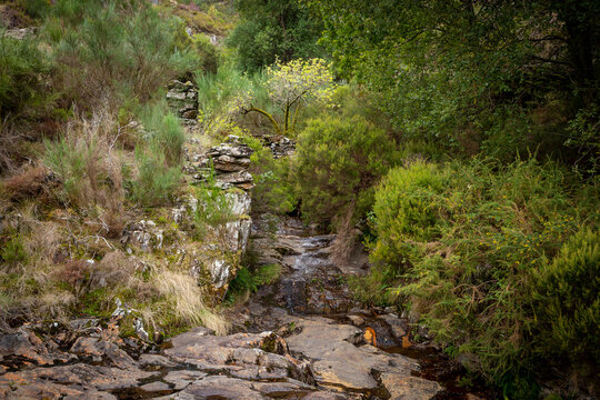 「Paivo」の写真素材 | 29件の無料イラスト画像 | Adobe Stock