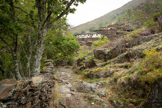 「Paivo」の写真素材 | 29件の無料イラスト画像 | Adobe Stock