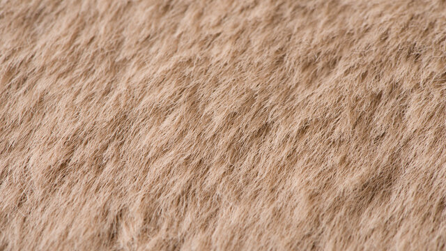 "Faux Fur" Images – Browse 15,803 Stock Photos, Vectors, and Video ...