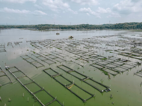 รูปภาพTambak – เลือกดูภาพถ่ายสต็อก เวกเตอร์ และวิดีโอ158 | Adobe Stock