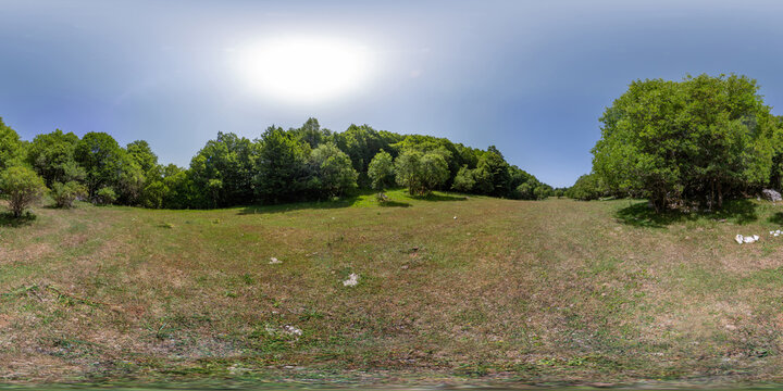 Radura Bilder – Durchsuchen 2,239 Archivfotos, Vektorgrafiken und ...