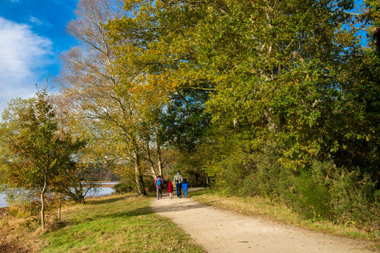 Balade Bilder – Durchsuchen 38,165 Archivfotos, Vektorgrafiken und ...