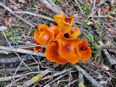 Untrained Images – Browse 535 Stock Photos, Vectors, and Video | Adobe ...