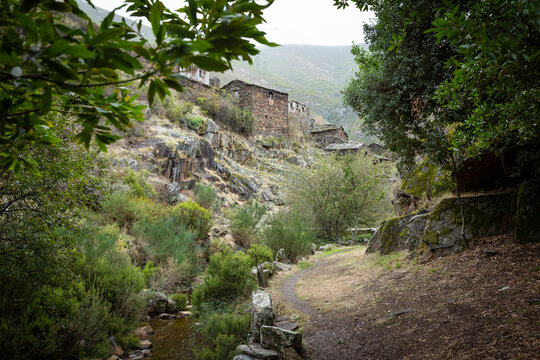 「Paivo」の写真素材 | 29件の無料イラスト画像 | Adobe Stock