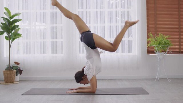 Vrischikasana 影像 – 瀏覽 327 個素材庫相片、向量圖和影片 | Adobe Stock