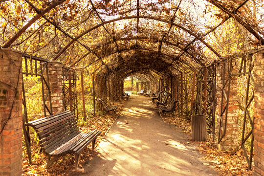 Entwined Images – Browse 12,629 Stock Photos, Vectors, and Video ...