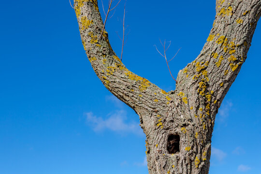Truncate Images – Browse 3,445 Stock Photos, Vectors, and Video | Adobe ...