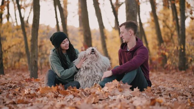 รูปภาพBuli – เลือกดูภาพถ่ายสต็อก เวกเตอร์ และวิดีโอ170 | Adobe Stock