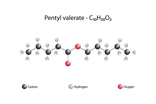 12,089 MELHORES IMAGENS, FOTOS E VETORES DE Replicar | Adobe Stock