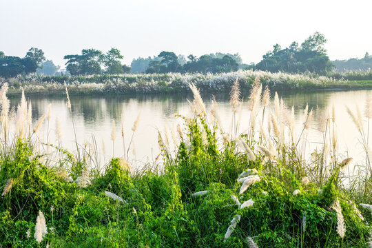 159 件の最適な Kashful 画像、ストック写真、ベクター | Adobe Stock