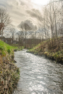 Harr Bilder – Durchsuchen 51 Archivfotos, Vektorgrafiken und Videos ...